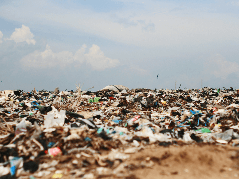 Reducing Food Waste and Methane Emissions: Insights from the U.S. EPA’s ...