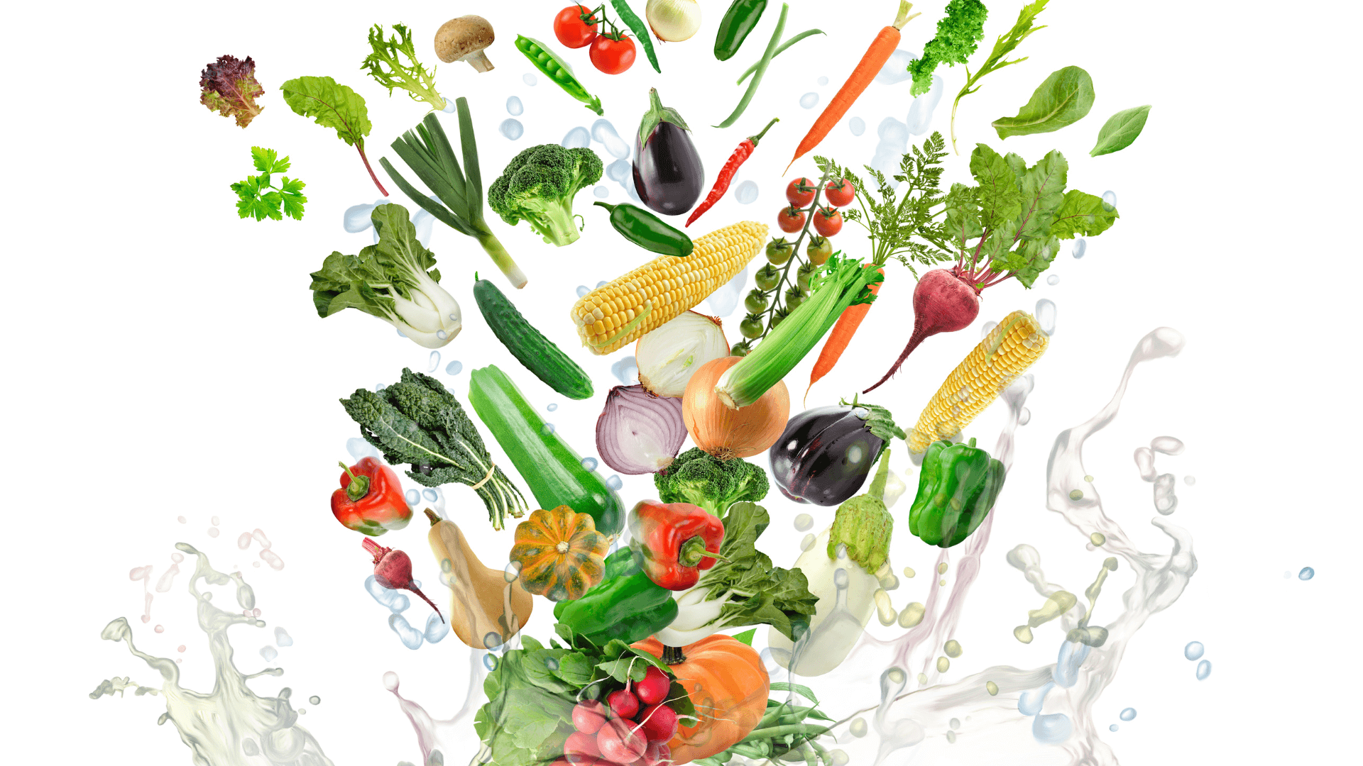 Building a Food System that Works for Everyone: A Look at the ...