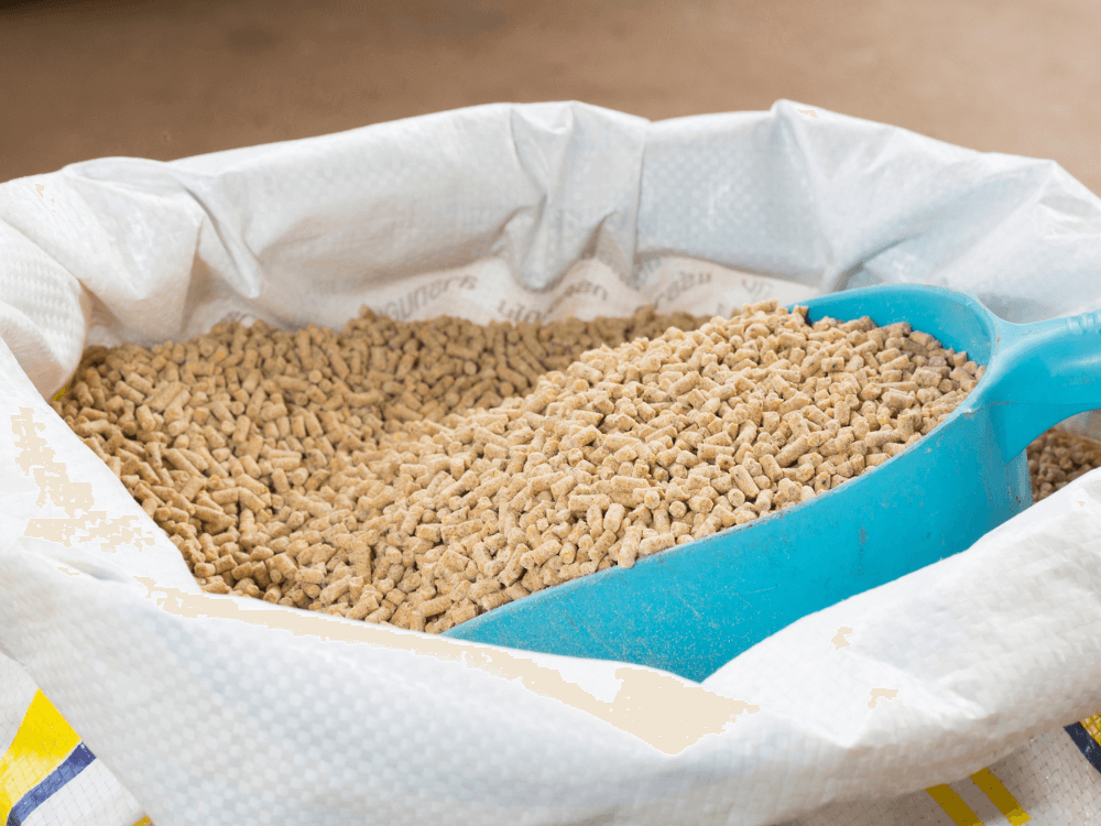 Food Waste Funder Circle | Pitch Video: NETZRO | ReFED