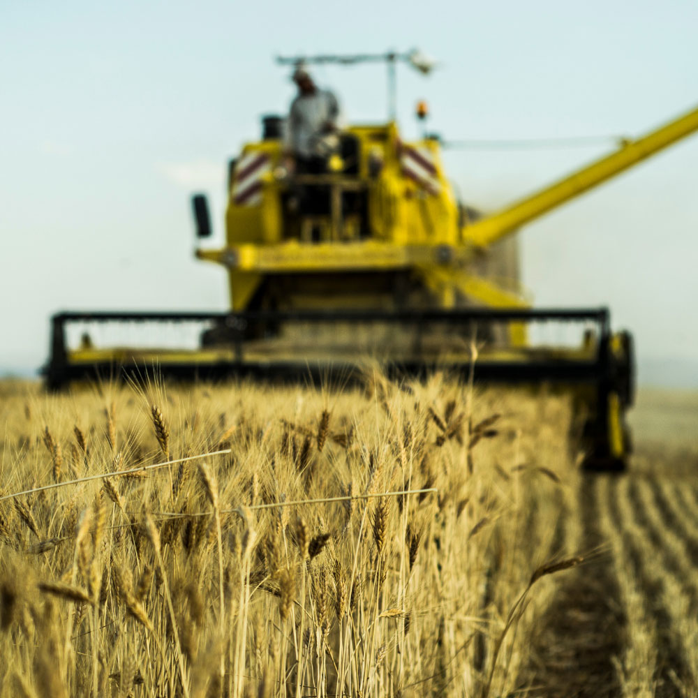 Food Waste Solutions - Reduce Food Waste, Food Recycling & Recovery